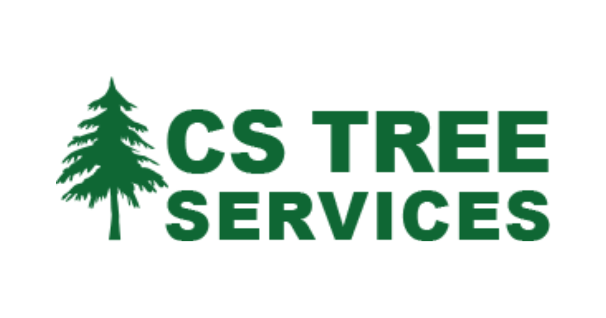 Top-Rated Tree Service in Raleigh NC | CS Tree Services